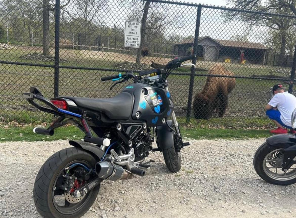 2021 + Honda Grom Subcage – FerdaStreetz